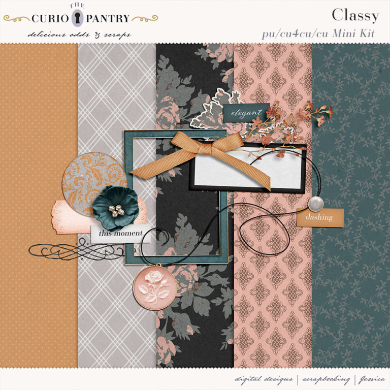 PS June BT Backyard Summer Mini & Bundle – The Curio Pantry