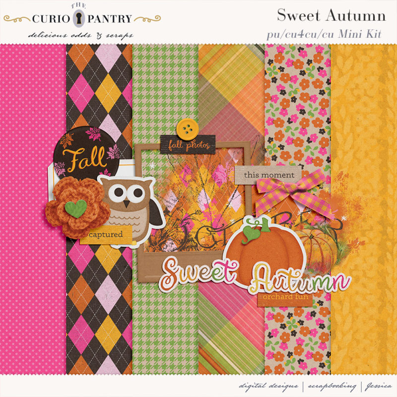 PS June BT Backyard Summer Mini & Bundle – The Curio Pantry